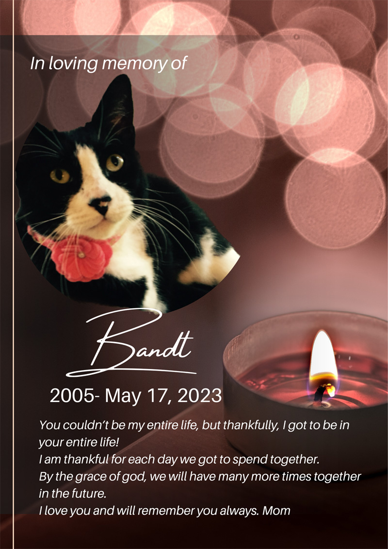 Terry Nazon World Famous Astrologer Horoscopes Astrology Natal Charts